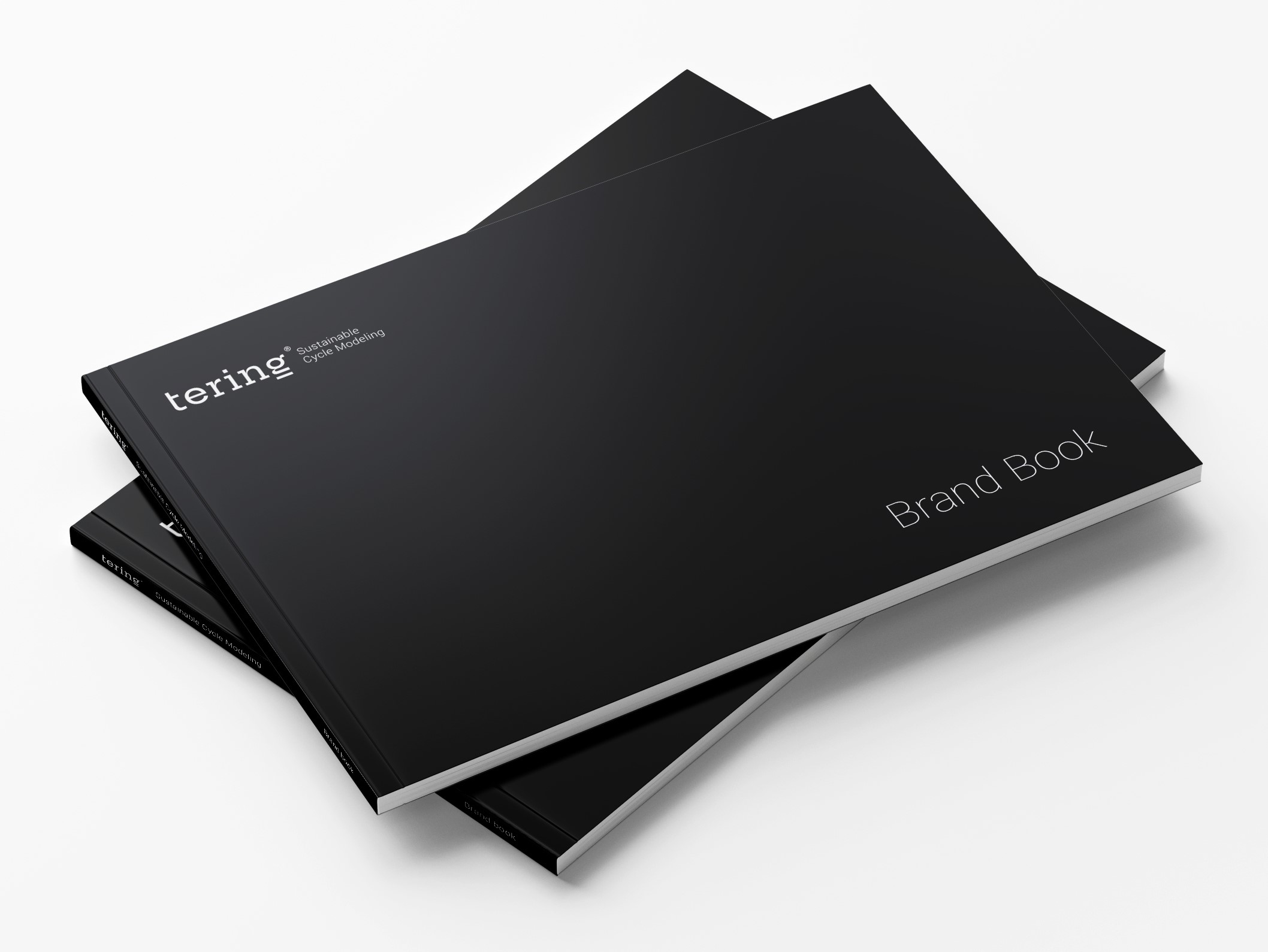 Novi vizualni identitet brenda - Tering